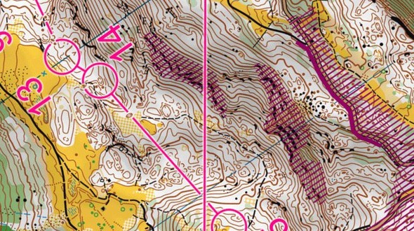 Route To O-Season 2020: Day 49 | World of O News