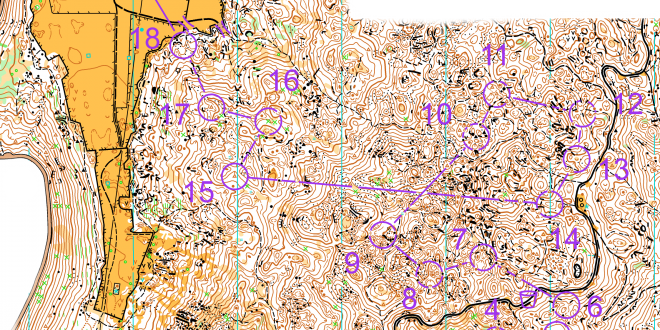 World Cup Final Middle 2021: Maps and Results | World of O News
