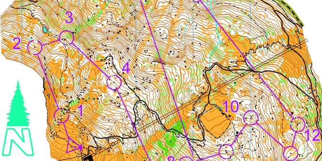 World Cup Final 2022: Maps, Results and Analysis | World of O News