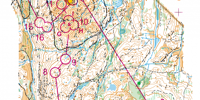 World Cup Opener 2023 Relay: Maps and Results | World of O News